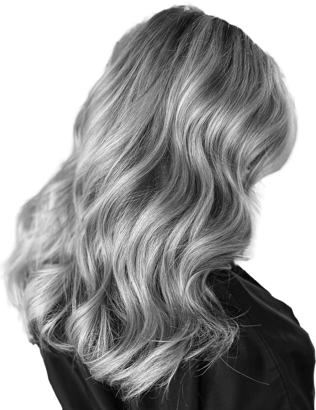 Premier Highlights Services from Burman & Co in Lone Tree